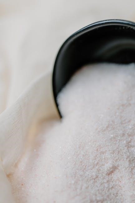 Pure Chlor Salt System Manual | FedExField Parking Guide